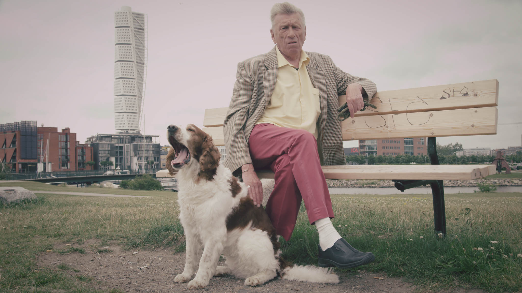 BCD Film – Artistic films & new perspectives